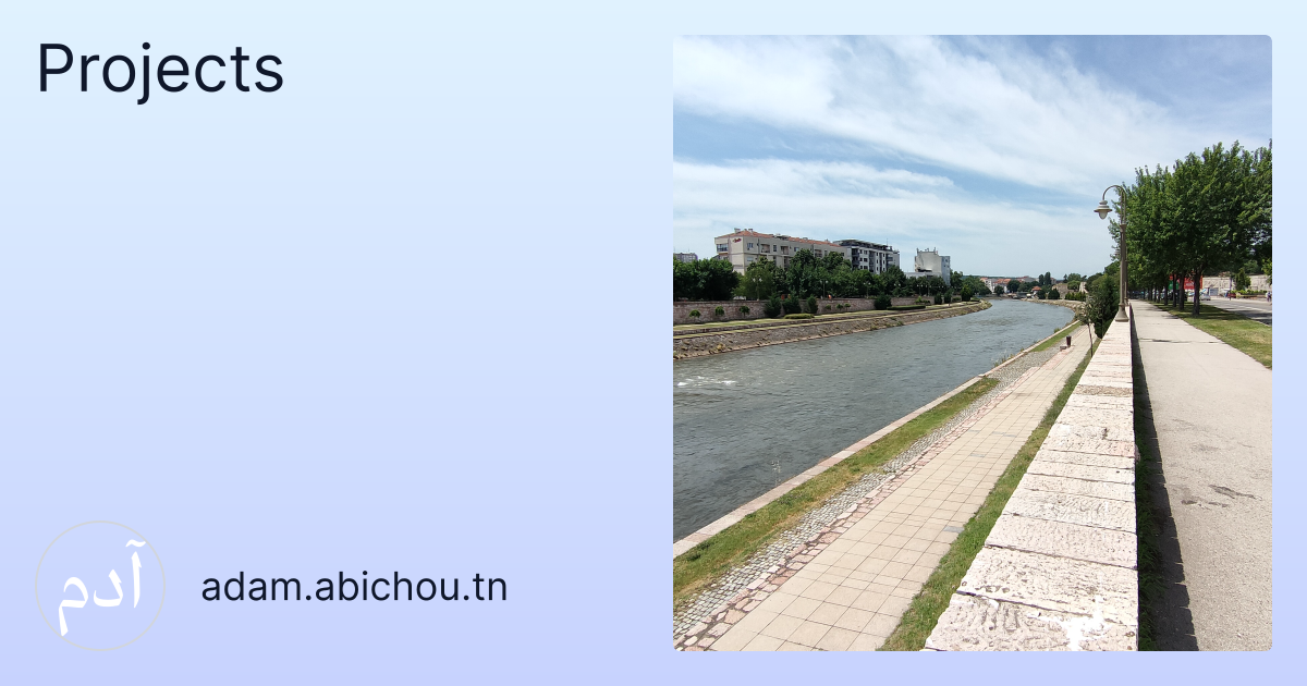 Projects - Adam Abichou